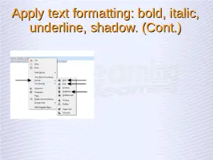 Understanding Presentations – Formatting Text