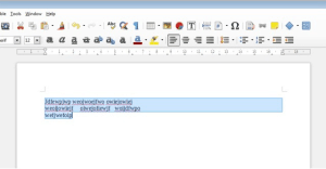 Word Processing – Document Creation