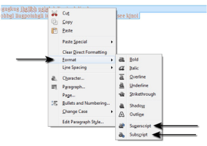 Word Processing – Formatting Text