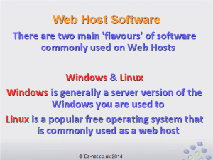 What is Web Hosting