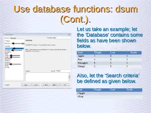 Advanced Spreadsheets – Database Functions