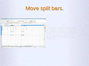 Advanced Spreadsheets – Split Bars